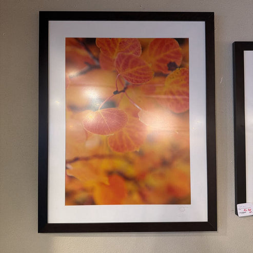 Fall Leaves Photograph Large – Ballard Consignment